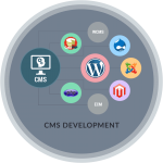 CMS Development Company | Custom CMS Web Application Development
