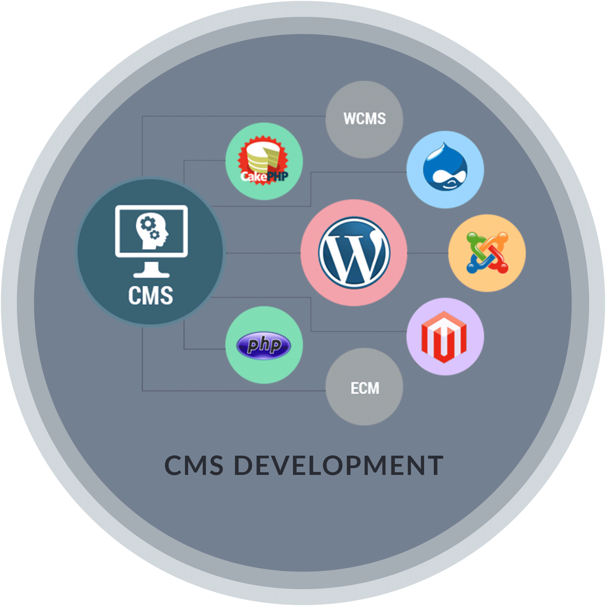 CMS Development Company | Custom CMS Web Application Development CMS Development Company | Custom CMS Web Application Development