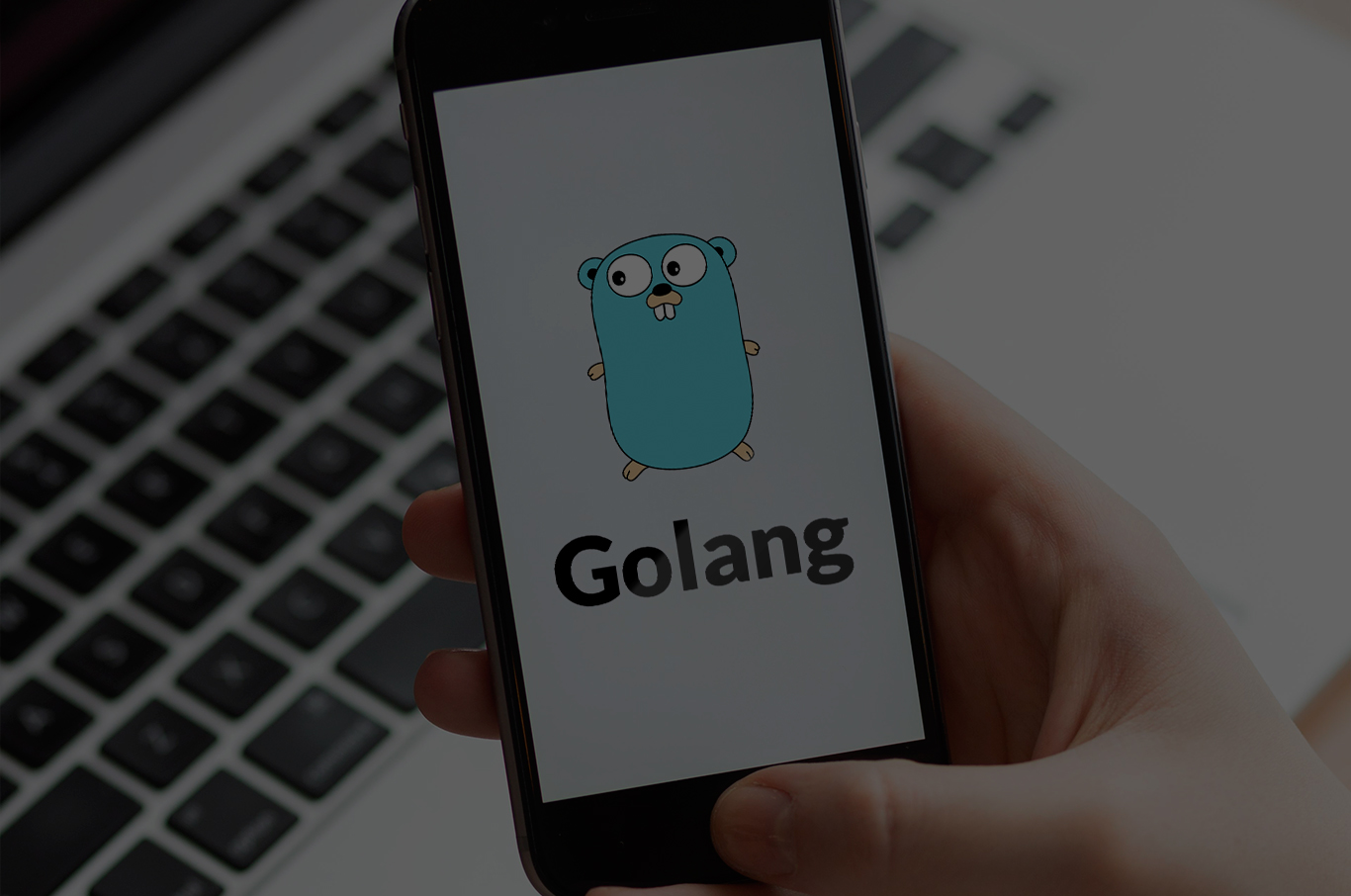 Hire Remote Golang Developers from India & Australia