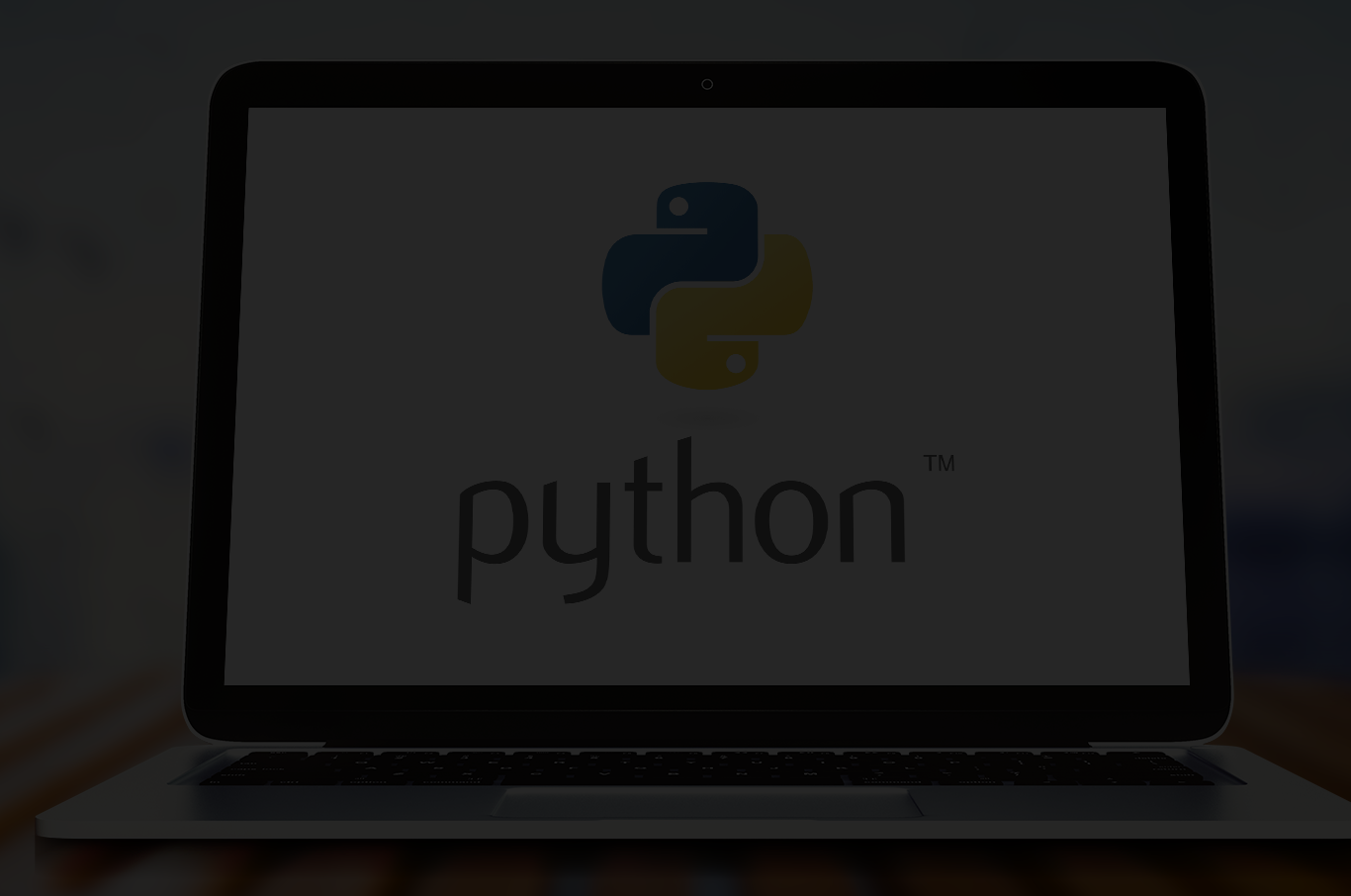 Hire Python Developers - SSTech System